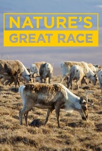 Nature's Great Race: Season 1 | Rotten Tomatoes