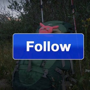 Follow - Rotten Tomatoes