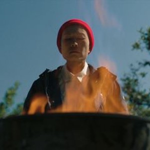 Paper Tiger - Rotten Tomatoes