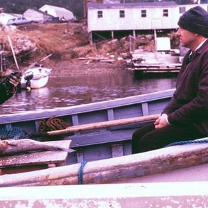 The Shipping News - Rotten Tomatoes