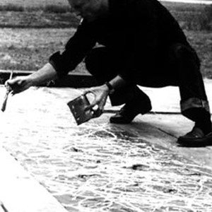 Pollock (2000) - Rotten Tomatoes