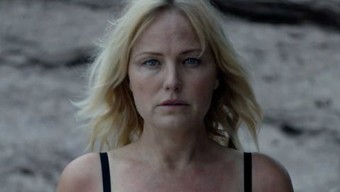 The Aviary - Rotten Tomatoes