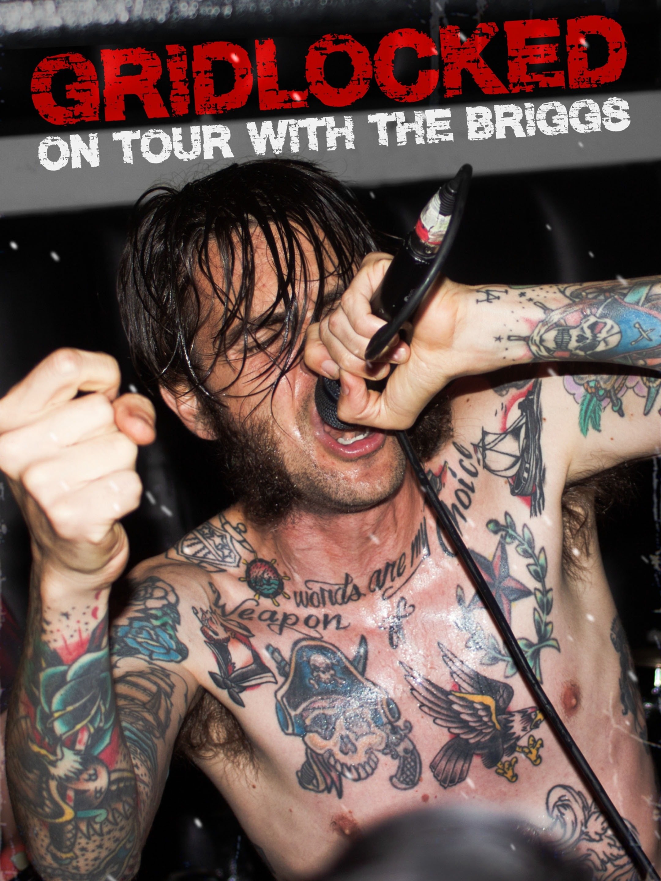 Gridlocked: On Tour With The Briggs Pictures | Rotten Tomatoes