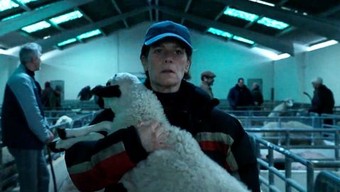 The Beasts - Rotten Tomatoes