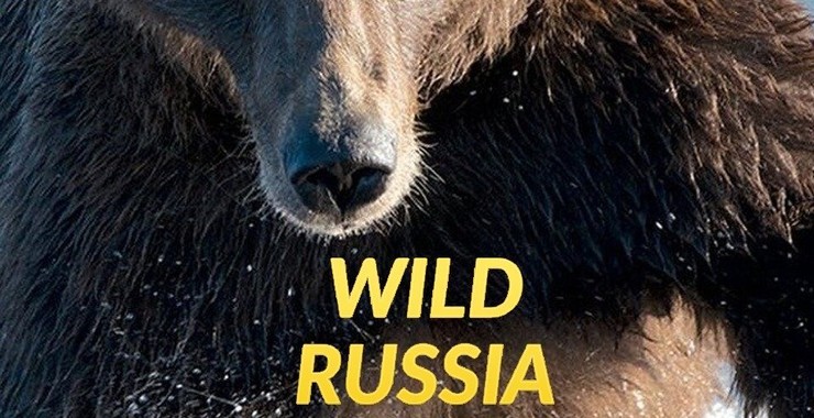 Wild Russia: Earth's Last Great Wilderness - Rotten Tomatoes