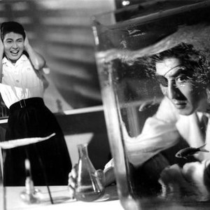 Momoko Kochi - Rotten Tomatoes