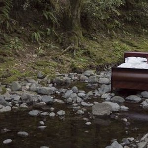 Senn - Rotten Tomatoes