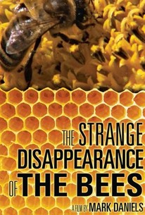 The Strange Disappearance of the Bees | Rotten Tomatoes