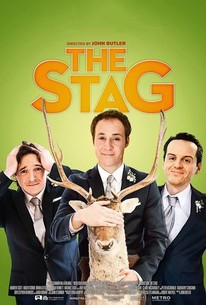 The Stag | Rotten Tomatoes