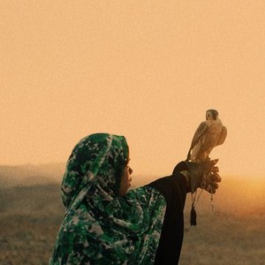 The Falconer - Rotten Tomatoes