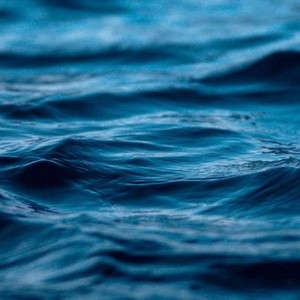 Desperate Escape (2010) - Rotten Tomatoes