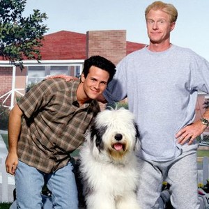 The Shaggy Dog - Rotten Tomatoes