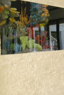 Fish Tank Kings: Season 2, Episode 3 | Rotten Tomatoes