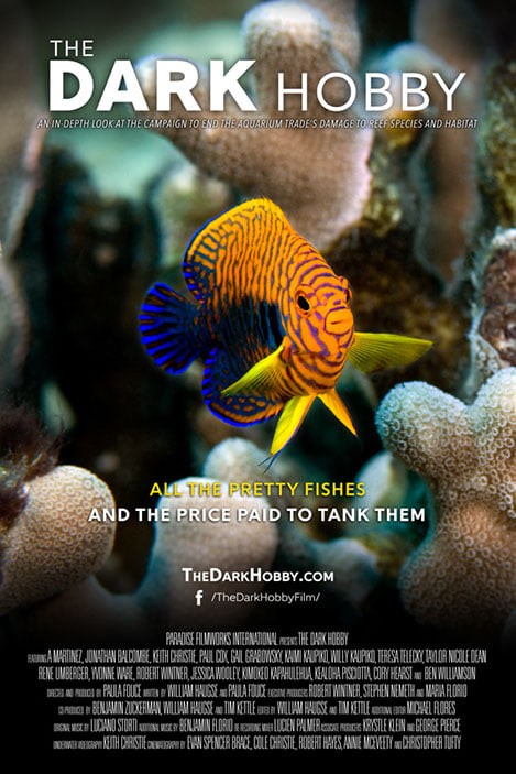 The Dark Hobby | Rotten Tomatoes