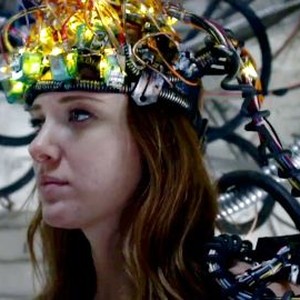 Stasis - Rotten Tomatoes