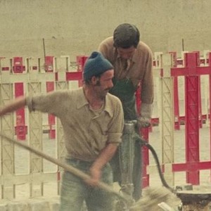 Ali in Wonderland - Rotten Tomatoes