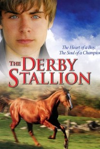 The Derby Stallion | Rotten Tomatoes