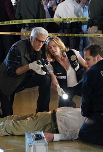 CSI: Crime Scene Investigation: Season 12, Episode 19 | Rotten Tomatoes