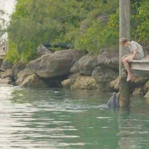 Dolphin Kick - Rotten Tomatoes