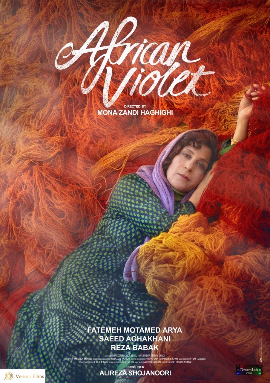 African Violet | Rotten Tomatoes