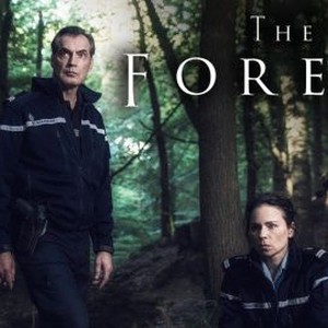 The Forest - Rotten Tomatoes