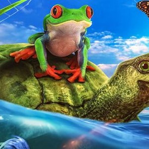 Turtle Tale - Rotten Tomatoes