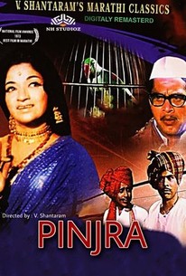 Pinjra | Rotten Tomatoes