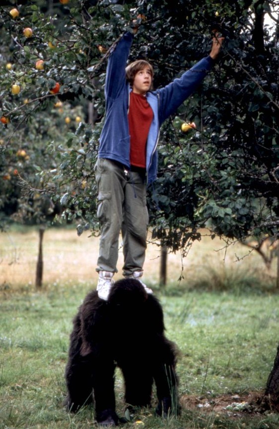 Wil Horneff 2013 Wil Horneff Pictures | Rotten Tomatoes