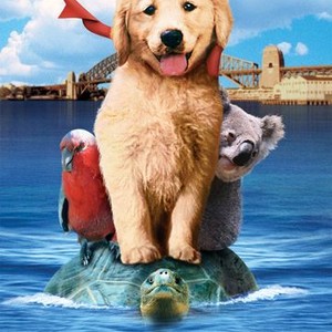 Napoleon - Rotten Tomatoes