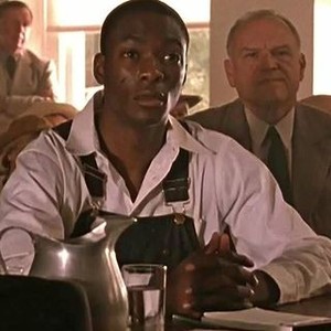 Heavens Fall - Rotten Tomatoes