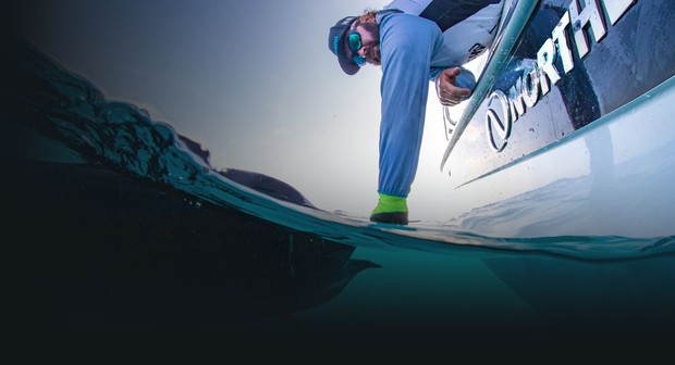 Fish Forever: Season 1 | Rotten Tomatoes