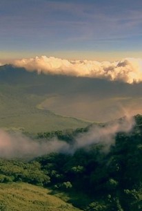 Africa's Great Civilizations: Season 1, Episode 1 | Rotten Tomatoes