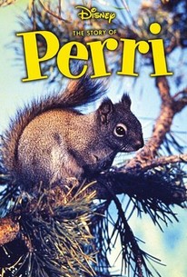 Perri | Rotten Tomatoes