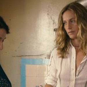 Summertime Rotten Tomatoes