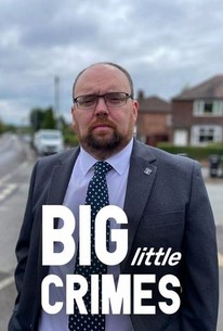 Big Little Crimes: Season 1 | Rotten Tomatoes