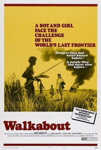Walkabout | Rotten Tomatoes