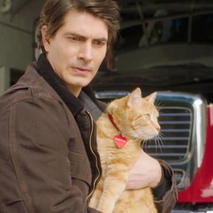 The Nine Kittens of Christmas - Rotten Tomatoes
