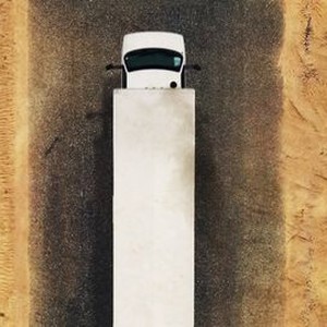 Swamp Lion - Rotten Tomatoes