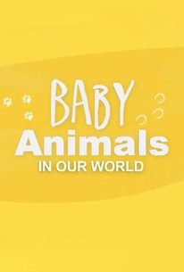 Baby Animals In Our World: Season 1 | Rotten Tomatoes