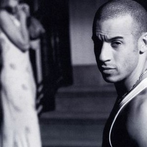 Strays - Rotten Tomatoes