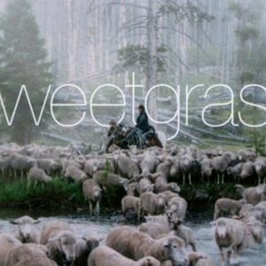 Sweetgrass - Rotten Tomatoes