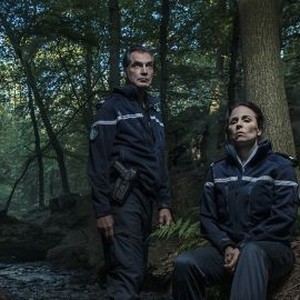 The Forest - Rotten Tomatoes