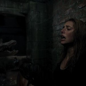 Crawl - Rotten Tomatoes