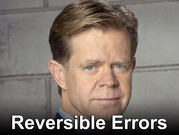 reversible errors 2004