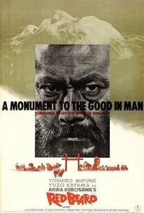 Red Beard | Rotten Tomatoes