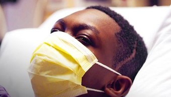 Human Nature - Rotten Tomatoes