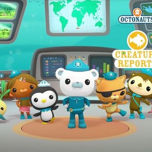 Octonauts: Creature Reports: Season 3, Episode 13 - Rotten Tomatoes