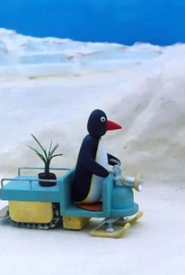 Pingu: Season 3, Episode 23 - Rotten Tomatoes