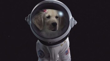 space buddies sputnik