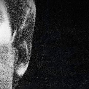 Willard - Rotten Tomatoes